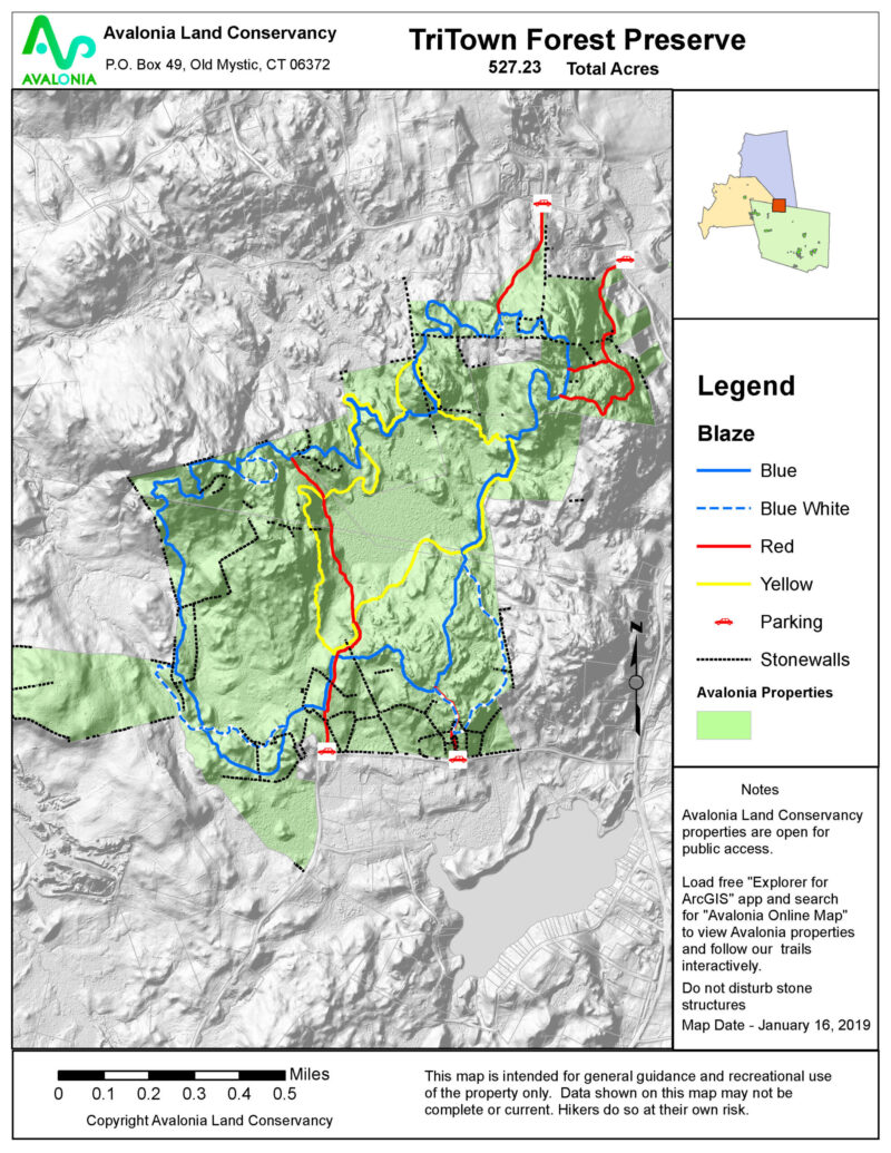 TriTown Forest Preserve – Avalonia Land Conservancy