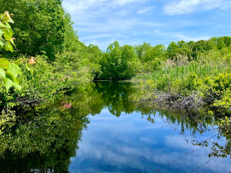 Rocky Road: A Geological Exploration of Pine Swamp Wildlife Corridor in ...