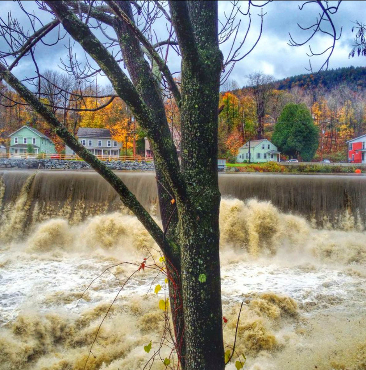 Photo Contest Winners - Avalonia Land Conservancy