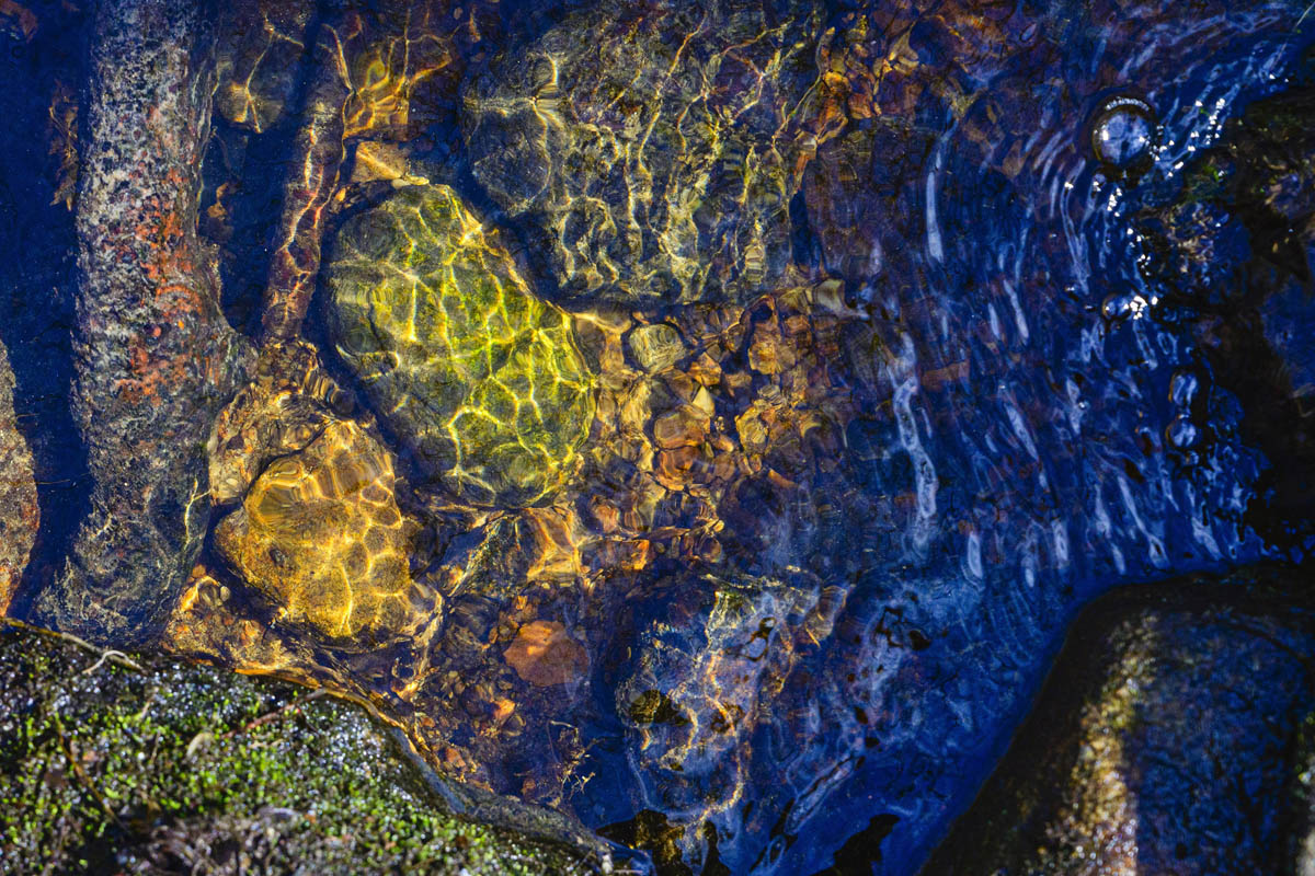 Photo Contest Winners - Avalonia Land Conservancy