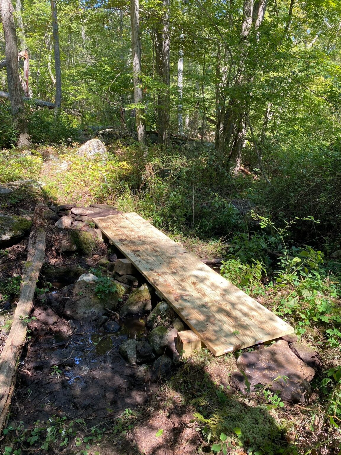 The Dean's Mill Bridge Project in Stonington is Complete! - Avalonia ...