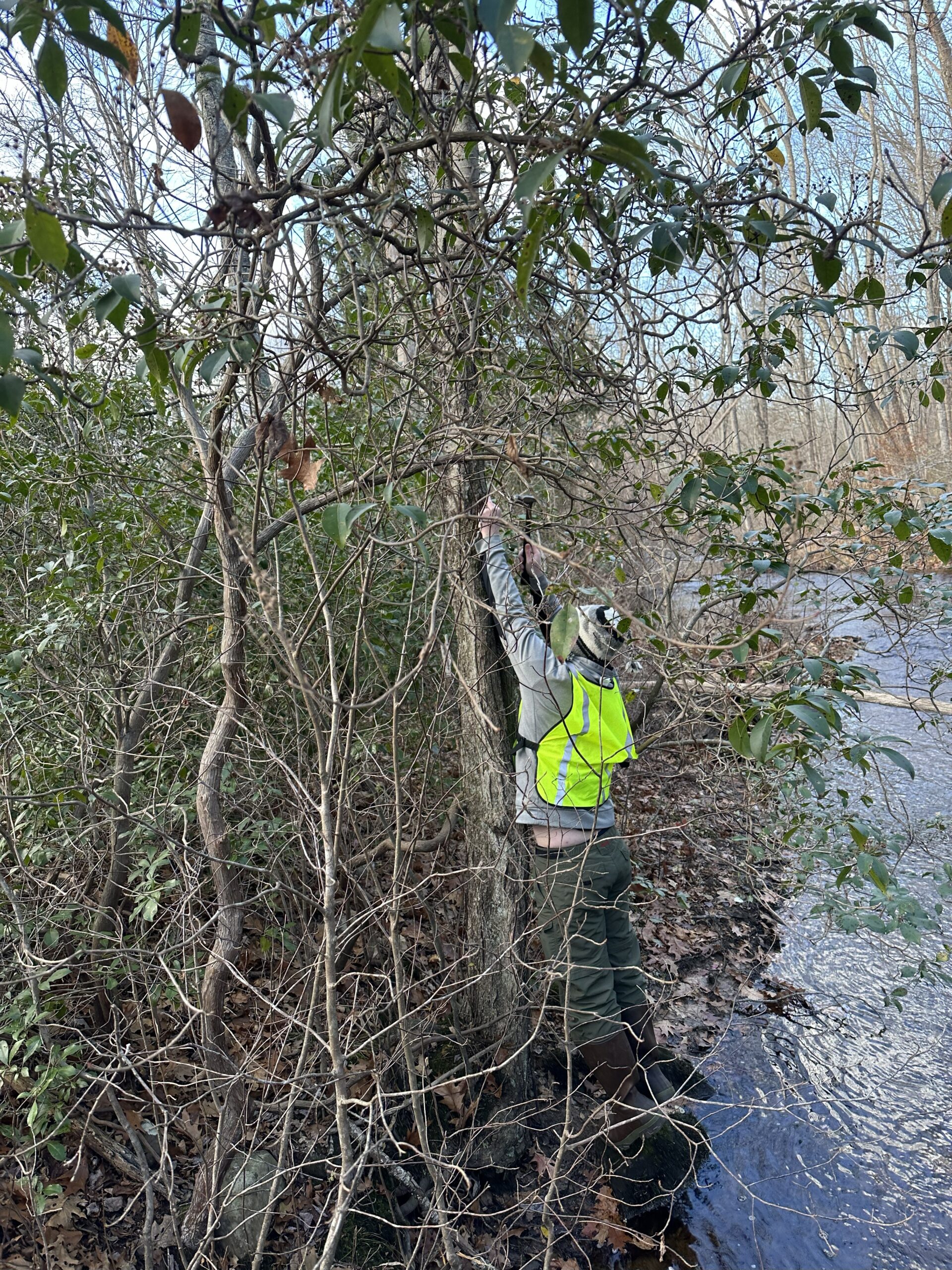 Avalonia welcomes new Land Stewardship Intern, Conor Feeney - Avalonia ...